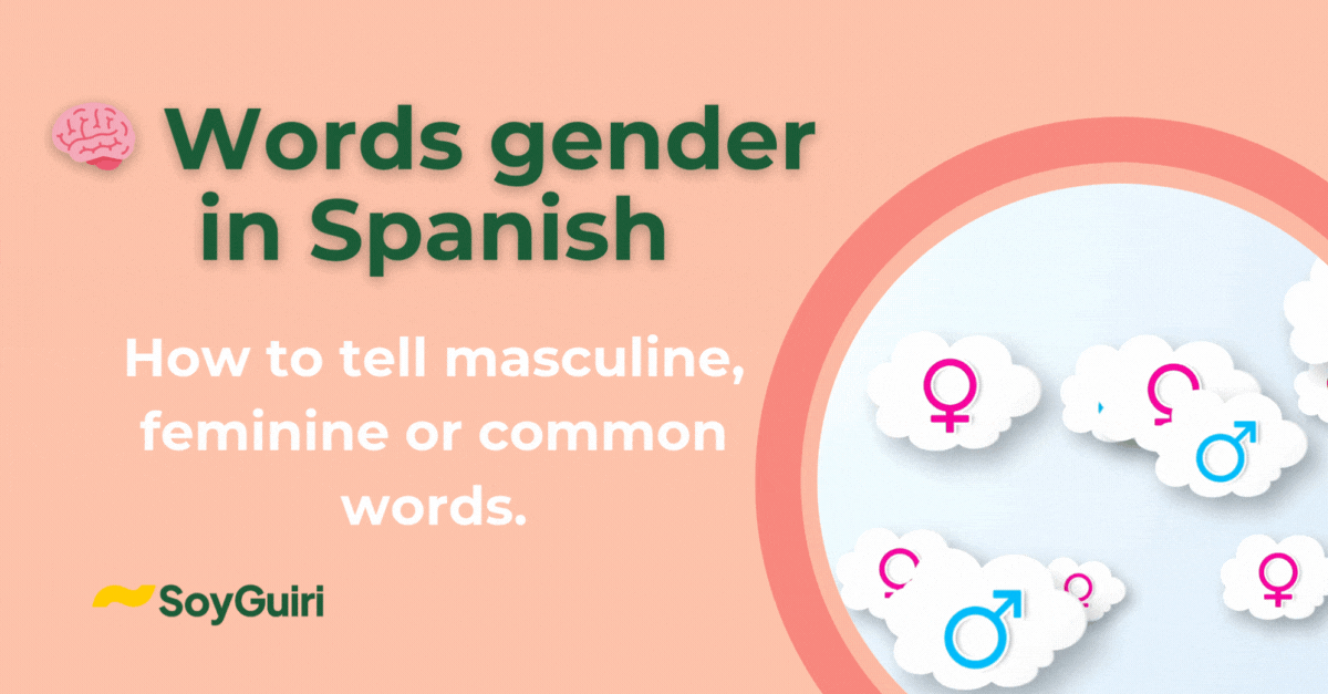 🧠 Words gender in Spanish: How to tell masculine, feminine or common words